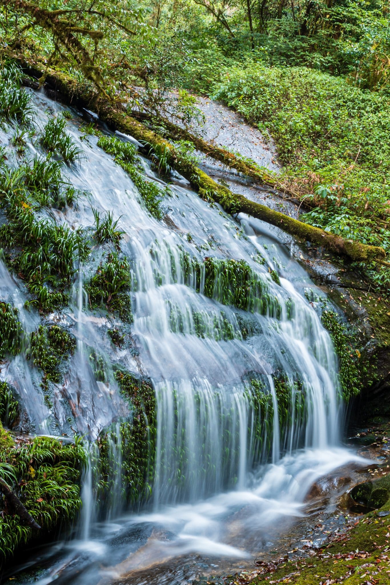 Exploring the Mae Sa Waterfall: Chiang Mai, Thailand